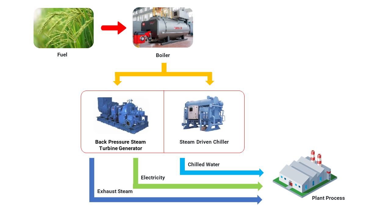 Trigeneration Process - Rollce Engineering