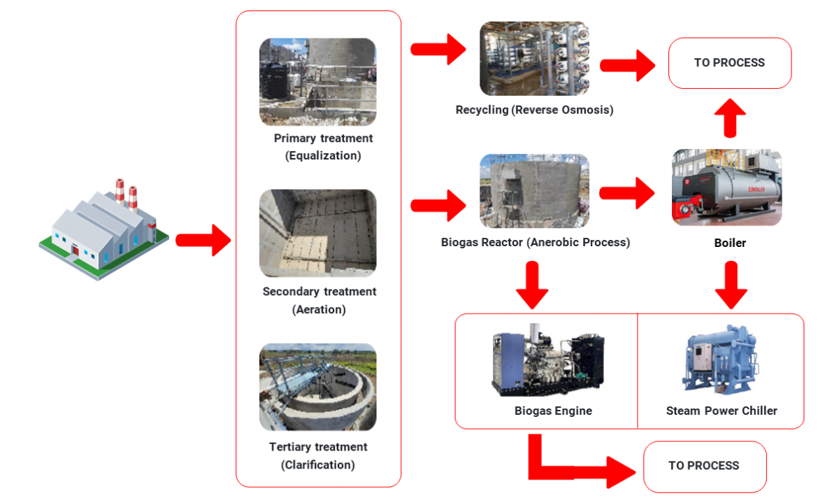 Waste to Energy - Rollce Engineering