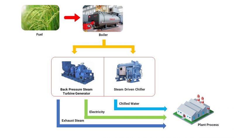 Trigeneration Process - Rollce Engineering